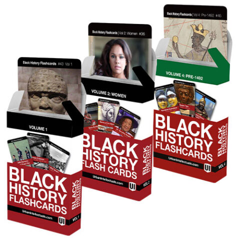Digital Black History Flashcards, Vol 1 ,2, 3 | Sankofa Experiences
